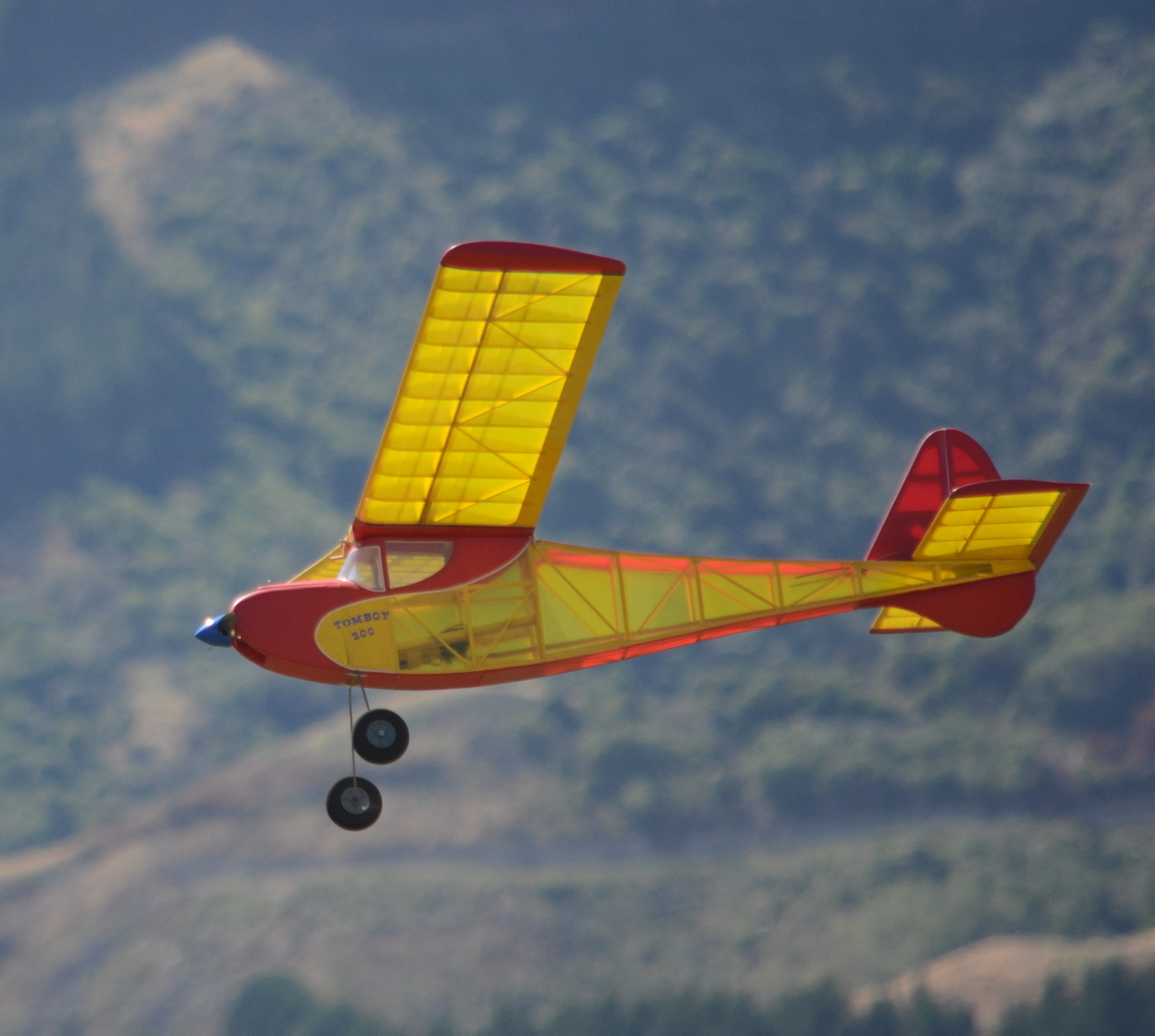 DSC_5776 – Kapiti Aeromodellers Club